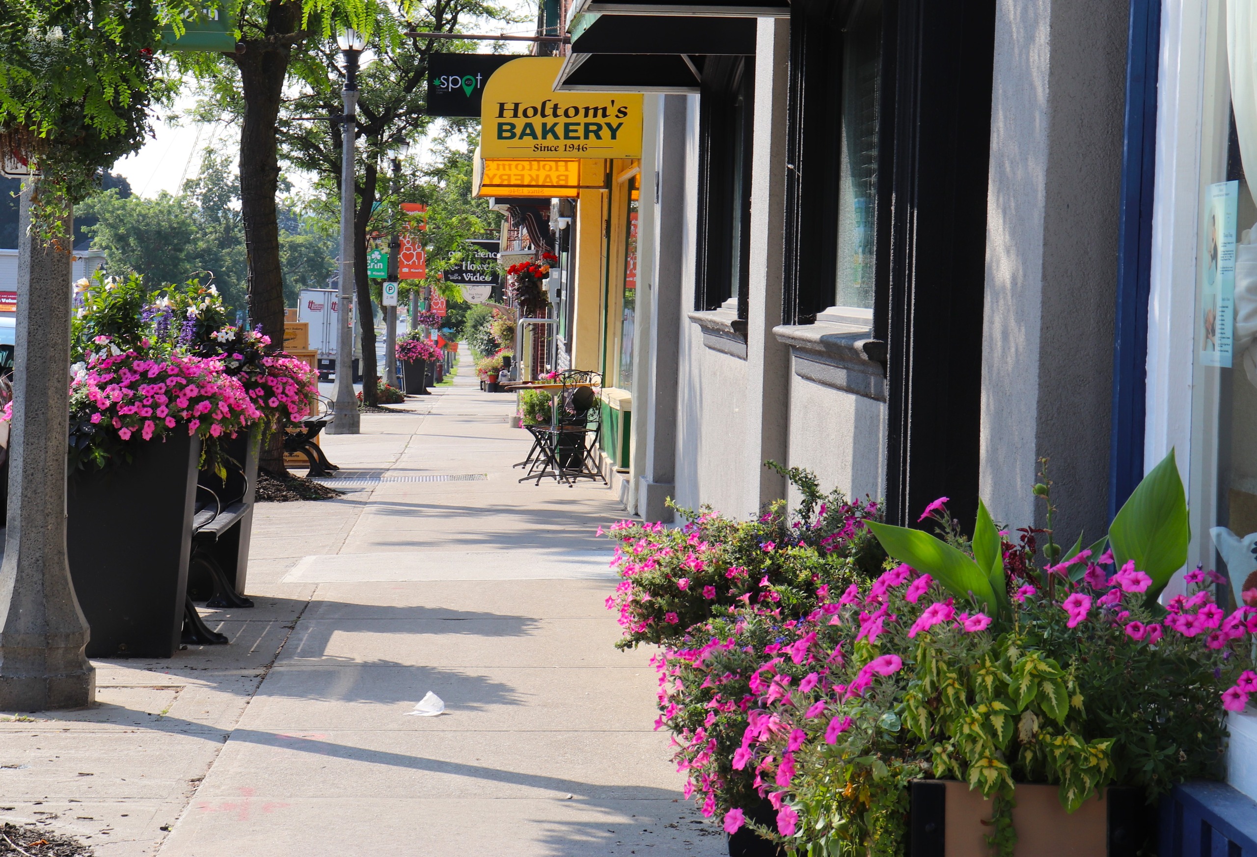 Downtown Erin and Hillsburgh Streetscape Furnishing Plan | Erin Engaged